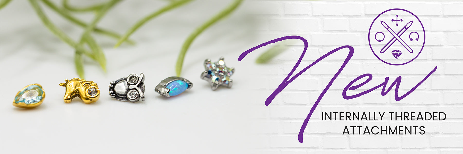 Leaders in professional Body Piercing & Alternative Lifestyle Products ...